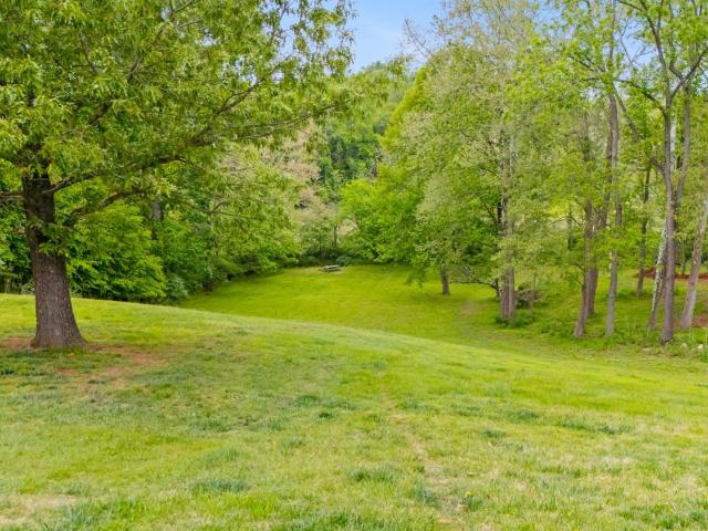 1254 Ivy Creek Drive