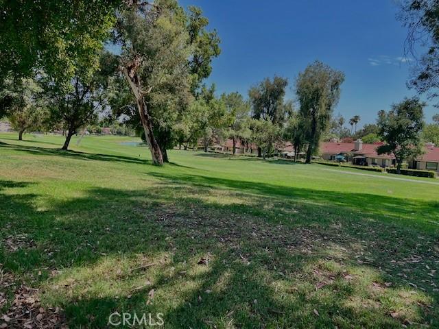 1254 Scenic View St