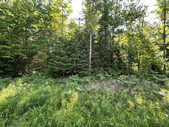 12552N County Highway T, Hayward, WI 54843