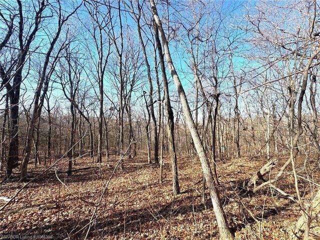12555 Huckleberry Cir Lot 165, Rogers, AR 72756