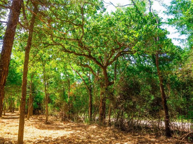 12556 Red Hill Rd, Hearne, TX 77859 | MLS #87944