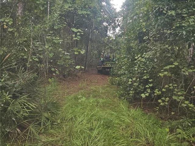 1255 Black Bear Ranch Trail, Pierson, FL 32180 | MLS #O6379 | Compass