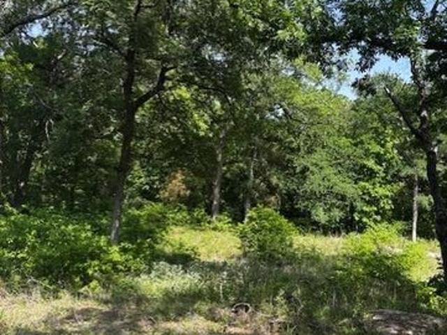 1255 Eagles Bluff Dr, Weatherford, TX 76087