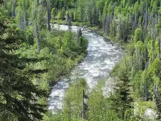 12565 W SNOWBERRY RD, WILLOW, AK 99688 Vacant Land For Sale M.
