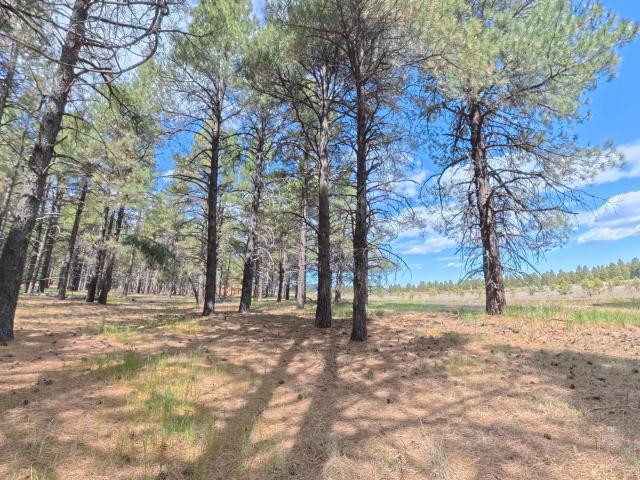 12565 camp kimball road #