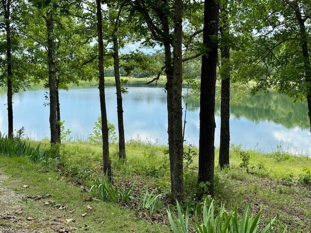 12579 County Road 8790