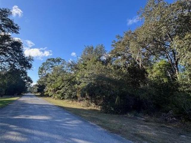 12587 W Flaxen Dr, Crystal River, FL 34428