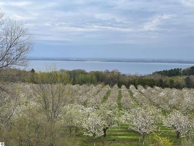 12586 Center Dr, Traverse City, MI 49686