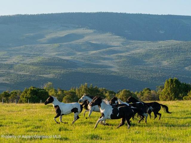12590 Derby Mesa Loop, Burns, CO 80426