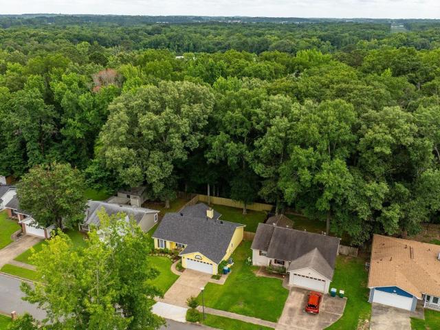 12501 Goldleaf Drive