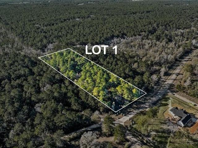 12505 Goldentop Dr Lot 1, Covington, LA 70433