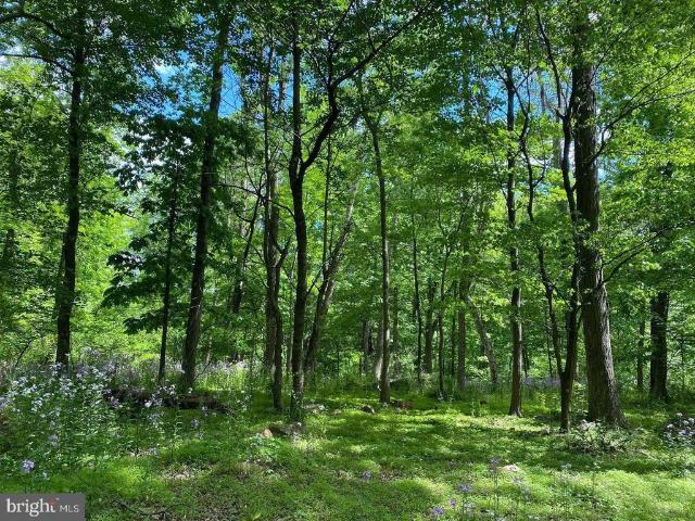 12509 Stottlemyer Road