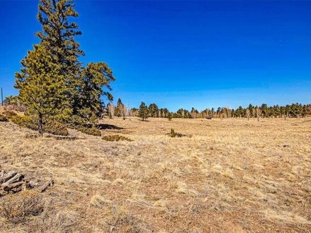 1250 Kaufman Rd Lot 1258, Hartsel, CO 80449
