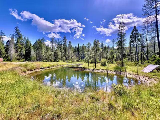 1250 Lone Mountain Road, O'Brien, OR 97534 643479256