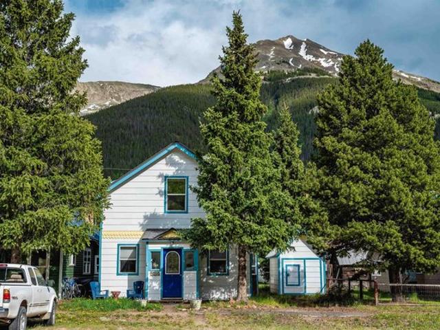1250 Snowden St, Silverton, CO 81433