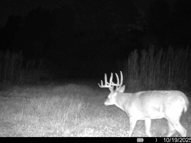12510 G24 Hwy