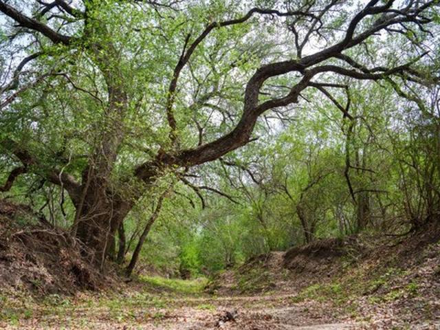1251 County Road 210, Floresville, TX 78114