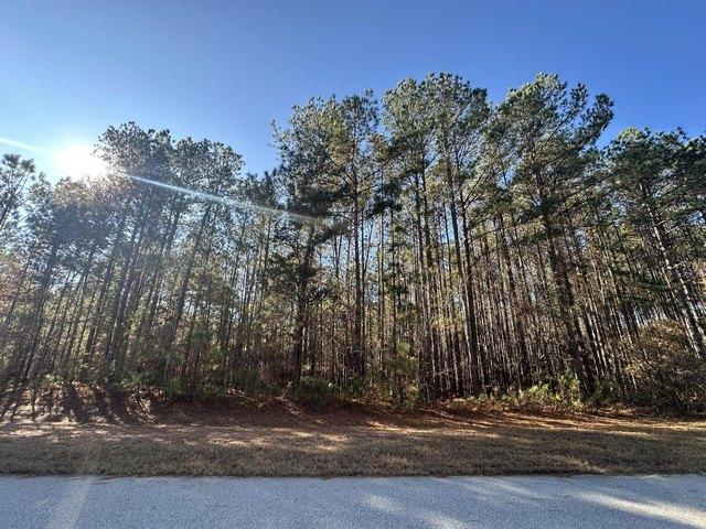 1252 Rogers Rd, Tignall, GA