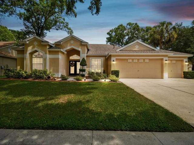 12537 River Birch Dr, Riverview, FL 33569