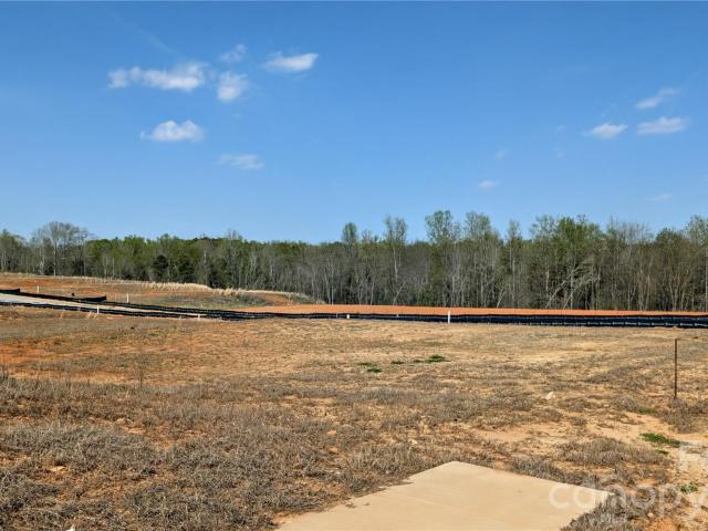 1253 Copper Leaf Drive