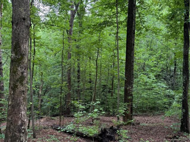 125 Cottage Side Trail