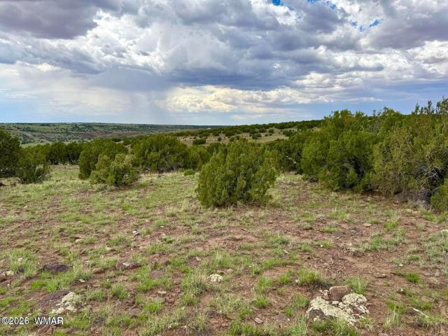 125 Co Rd 8051