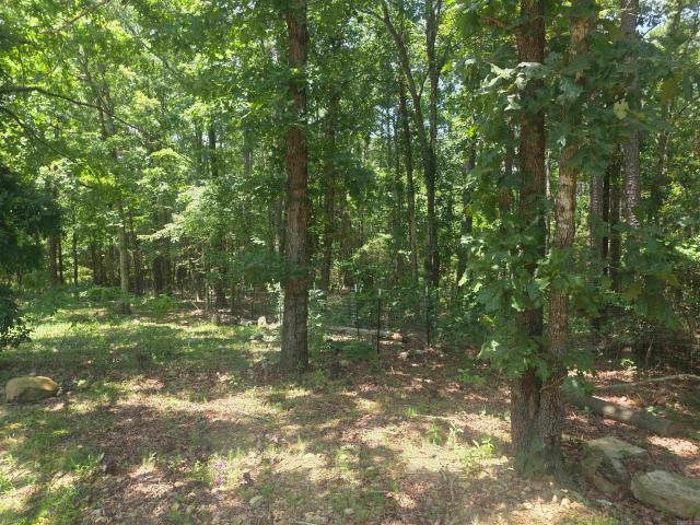 125 Gardenia Lane