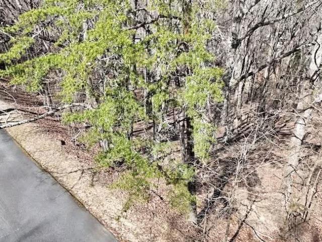 125 Grey Eagle Dr, Waleska, GA 30183 | MLS #7547 | Compass