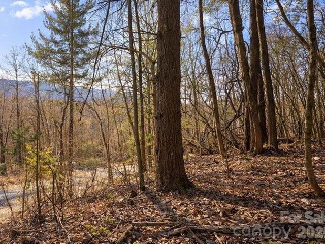 125 Lasso Ln Unit 304, Waynesville, NC 28785