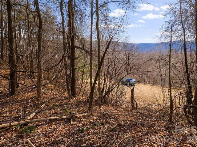 125 Lasso Lane # 304