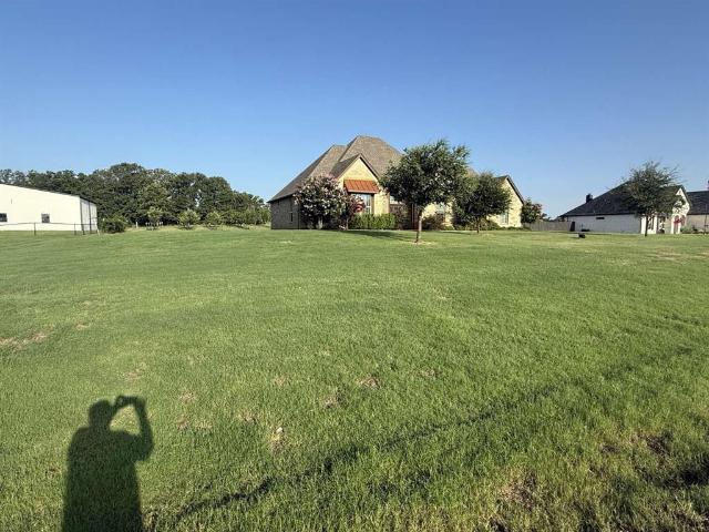 125 Lucky Ridge Ln, Boyd, TX 76023 | MLS #21003