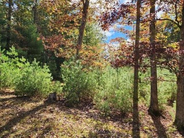 125 March Chapel Ln, Daniels, WV 25832