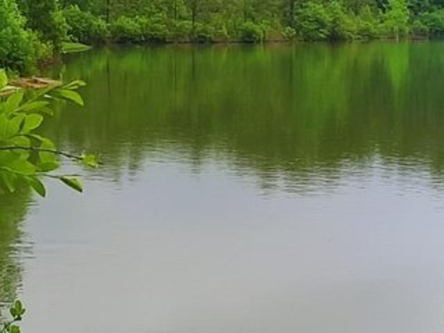 125 Merrill Ln, Deatsville, AL 36022