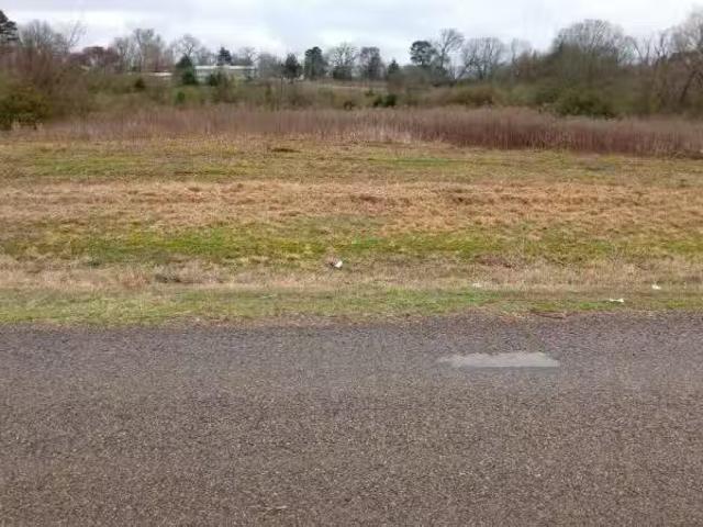 125 MINERAL RD, GILLHAM, AR 71841 Vacant Land For Sale MLS# 2.