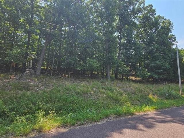 125 N Kings Rd, Lake Sherwood, MO 63357