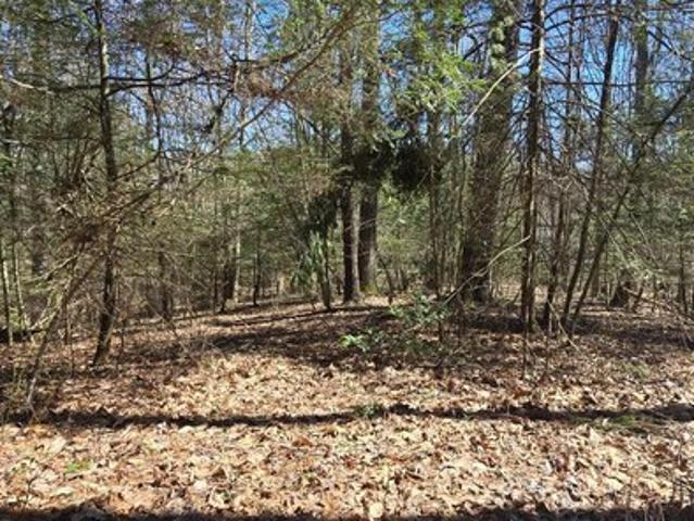 125 Redbud, Daniels, WV 25832