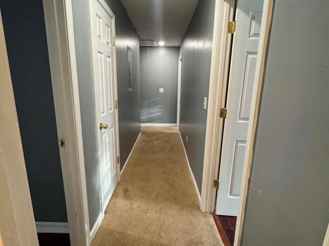125 Watercress Court