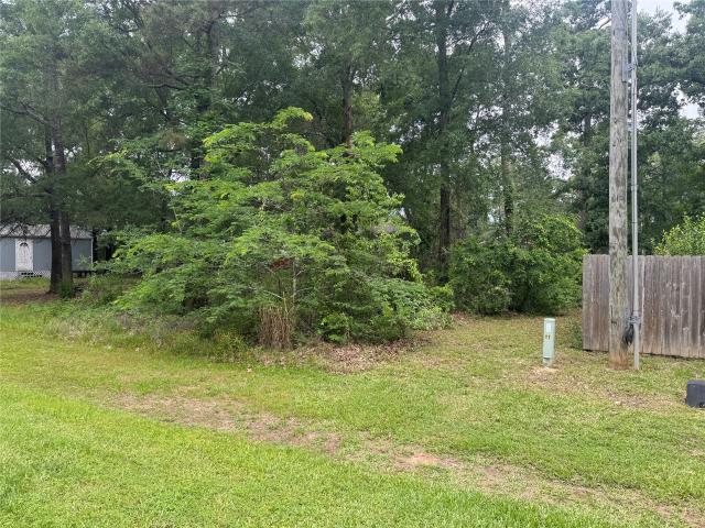 125 Trinidad Ln, Point Blank, TX 77364 | MLS #98780