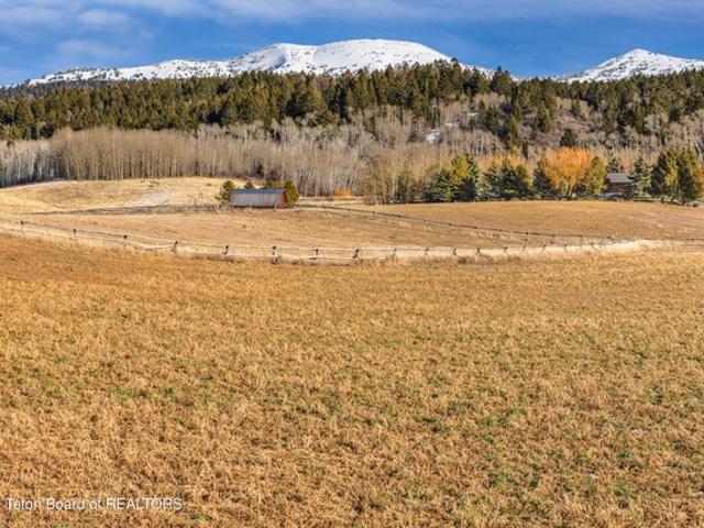 125 Yellow Rose Dr, Alta, WY 83414