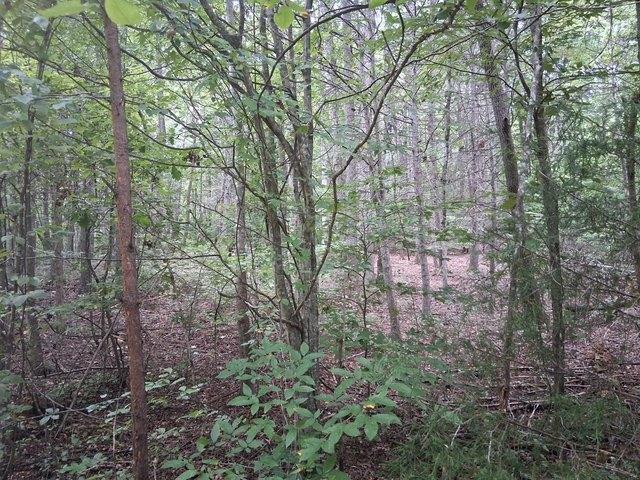 125 Zuni Way, Del Rio, TN 37727