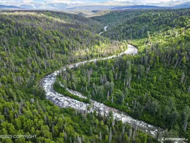 12643 W SNOWBERRY RD, WILLOW, AK 99688 Vacant Land For Sale M.