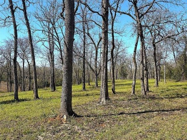 1264 County Road 1463, Centerville, TX 75833