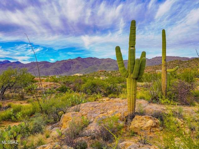 12650 E Roger Rd Unit 8, Tucson, AZ 85749
