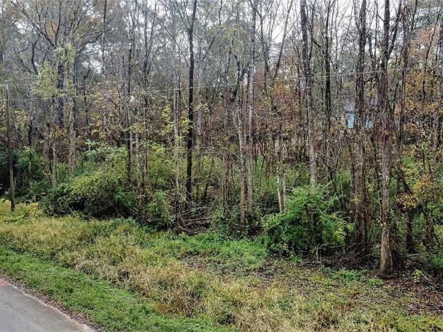 12651 Royal Creek Rd, Conroe, TX 77303 | MLS #98273