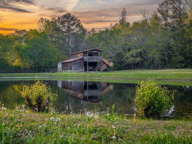 1265 B Dogwood Ln, Piedmont, AL 36272