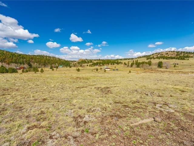 1265 County Rd 403, Florissant, CO 80816
