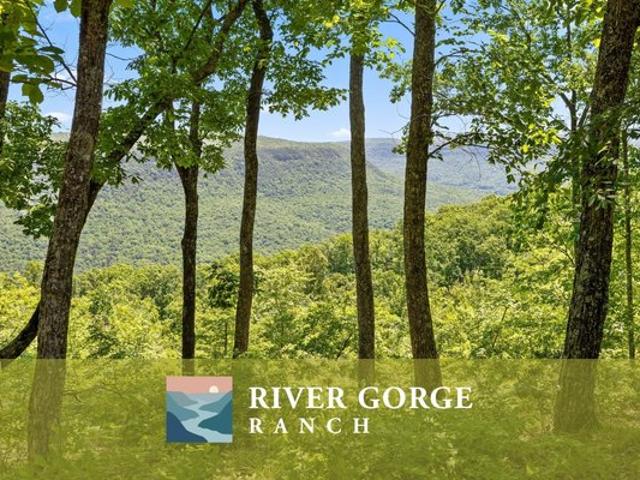 1266 Yaki Pt, Guild, TN 37340