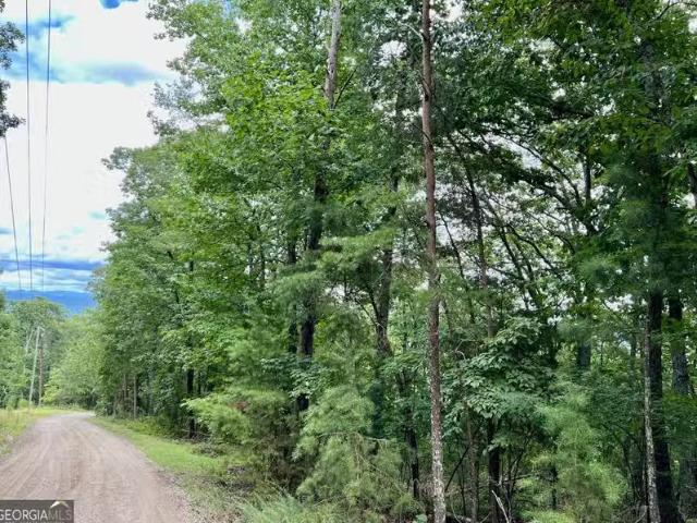 1267 Jewel Ct, Ranger, GA 30734 MLS 10343983
