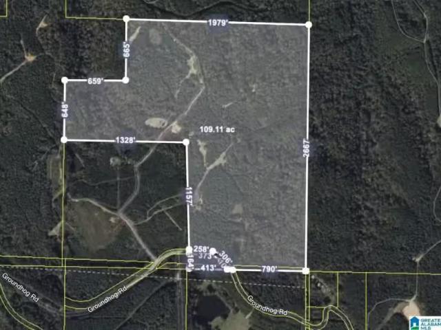 12680 GROUNDHOG RD # 1, ADGER, AL 35006 Vacant Land For Sale.