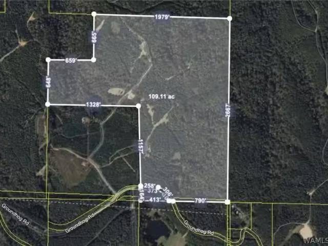 12680 GROUNDHOG RD, ADGER, AL 35006 Vacant Land For Sale MLS#.